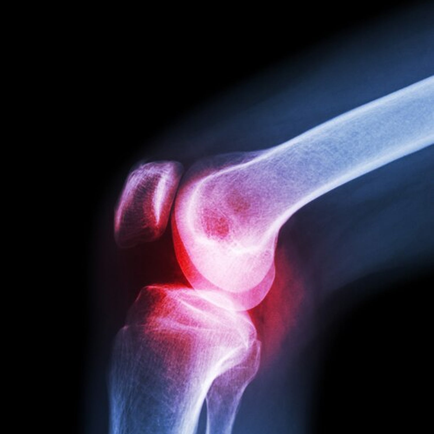 Products – ShopZilla